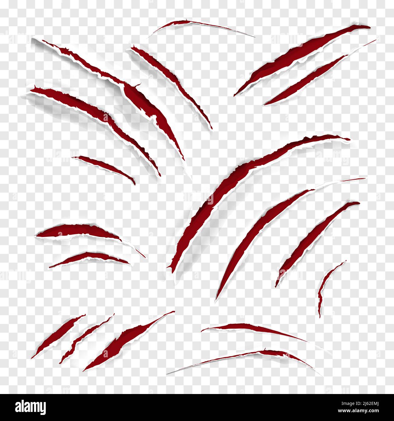 Claw scratches vector illustration of realistic red wild animal ...