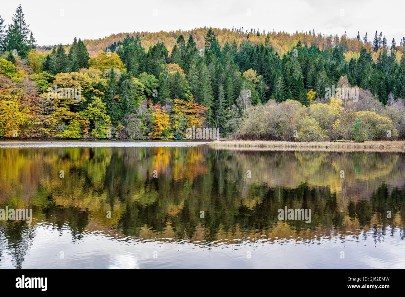 Colourful autumn reflections on Loch Faskally near Pitlochry in ...