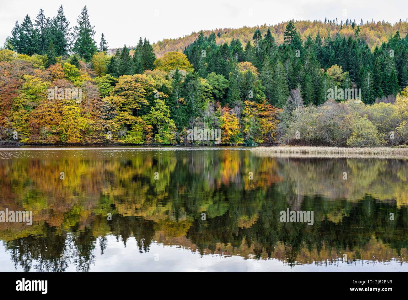 Colourful autumn reflections on Loch Faskally near Pitlochry in ...