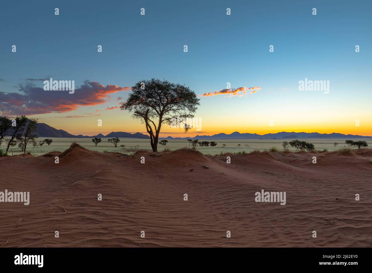 Orange and yellow light on clouds and red sand after sunset in Namib ...