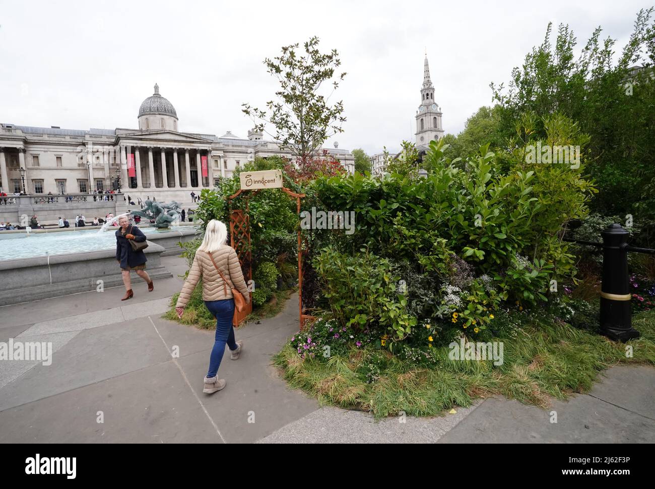 Trafalgar Square in central London is covered in plants and flowers at ...