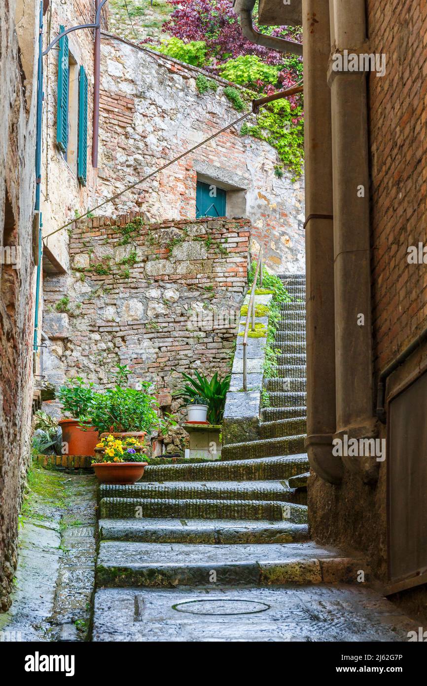 Ancient staircase flower pots hi-res stock photography and images - Alamy