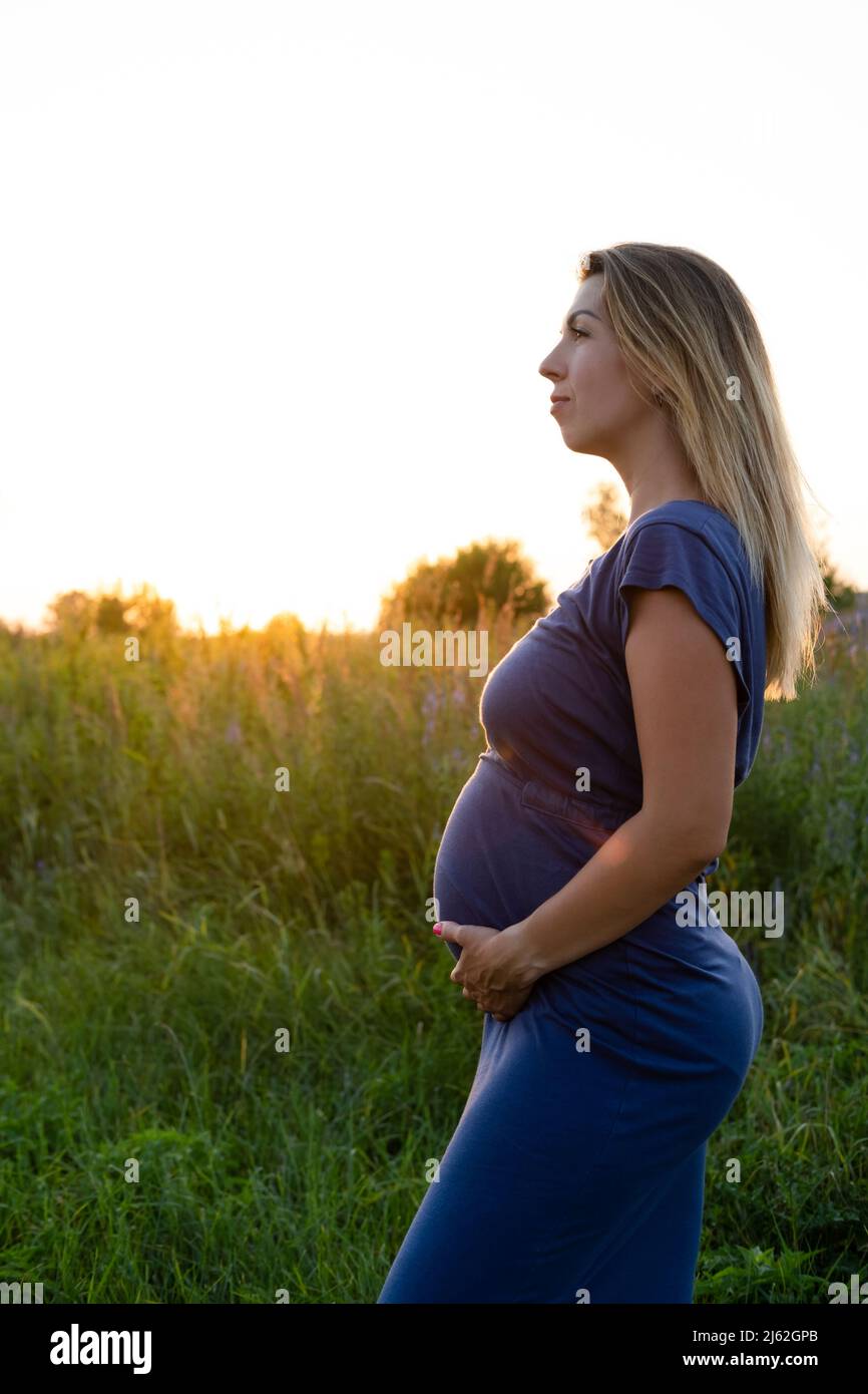 mother to be. pregnancy portrait. beautiful brunette pregnant female ...