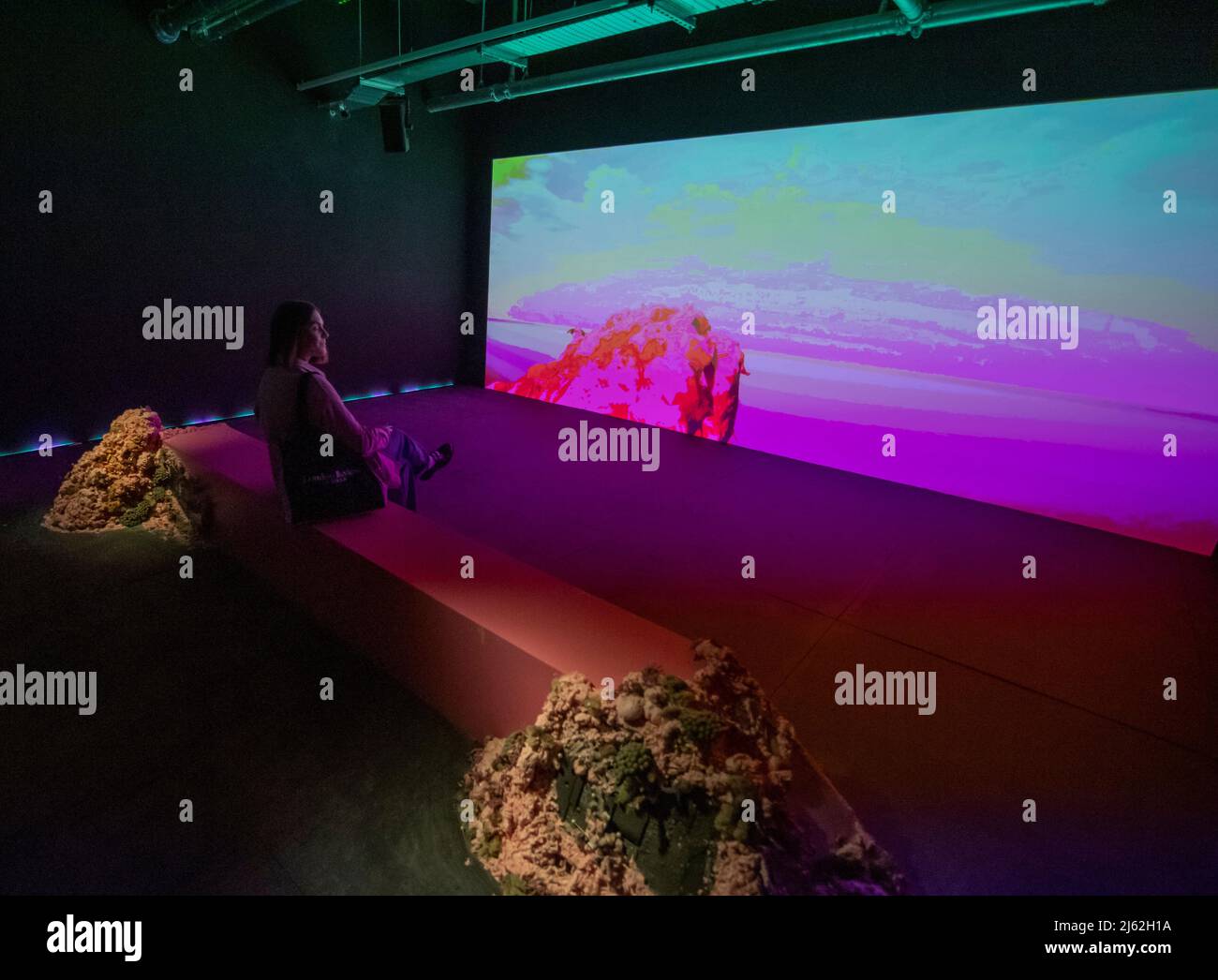 Exhibition object hi-res stock photography and images - Alamy