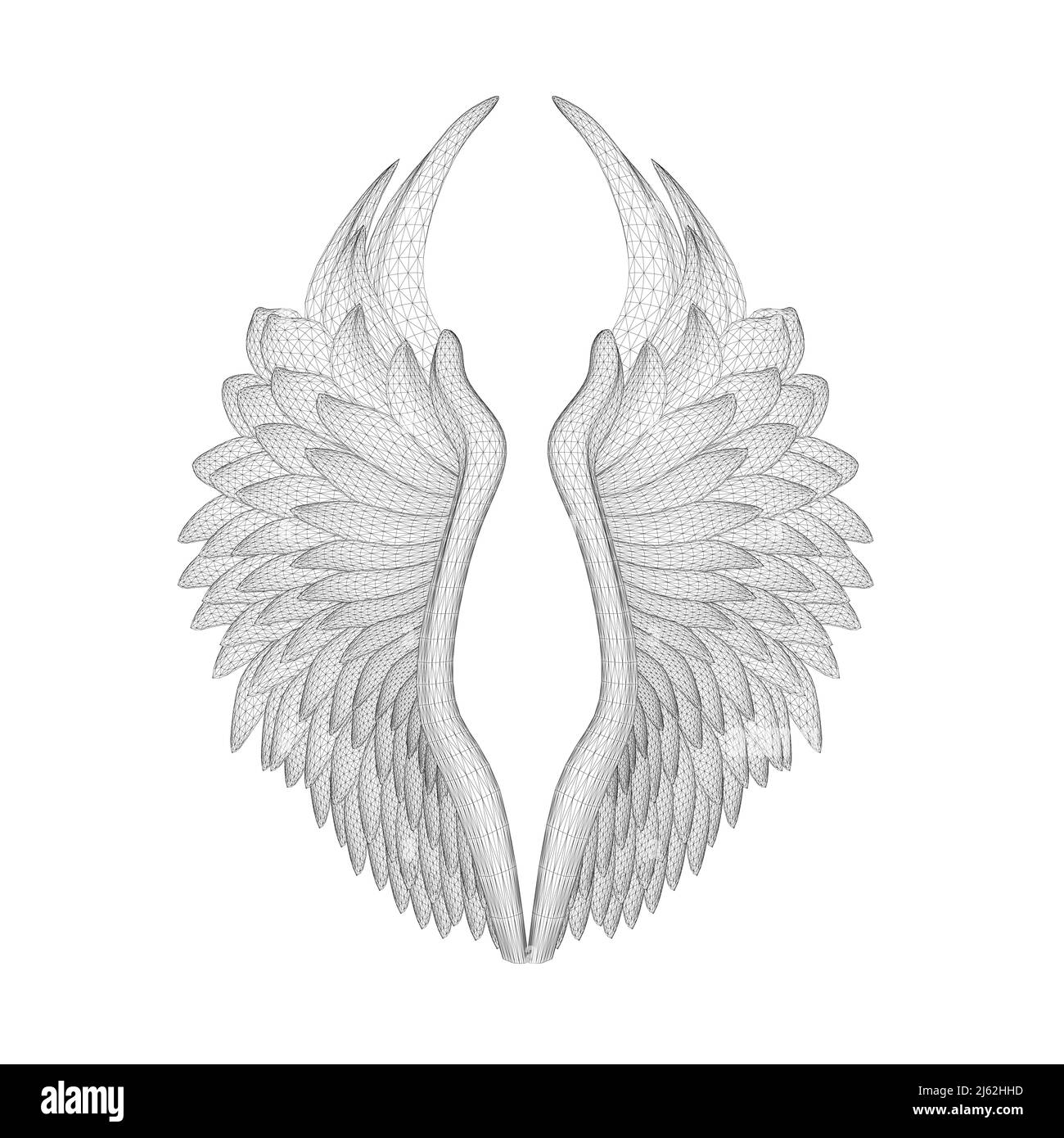 Angel wings wireframe from black lines isolated on white background. 3D ...