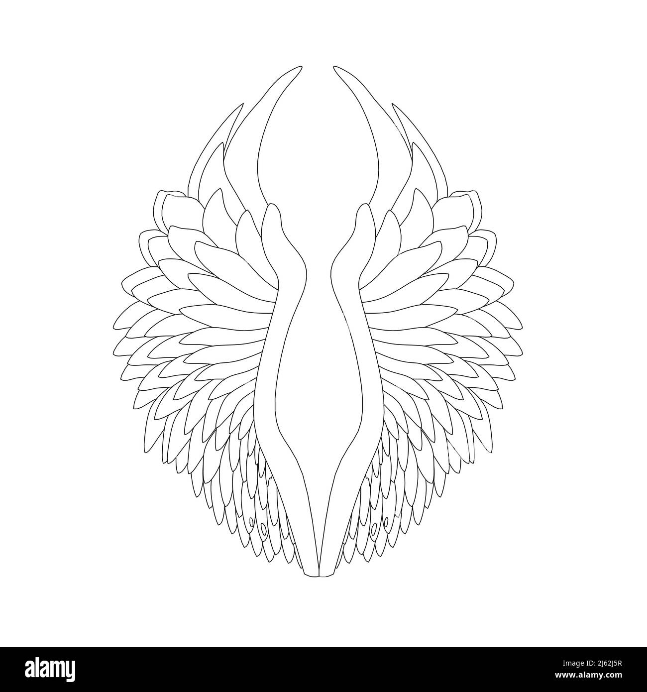 Angel Wings Wrapped Around Drawing