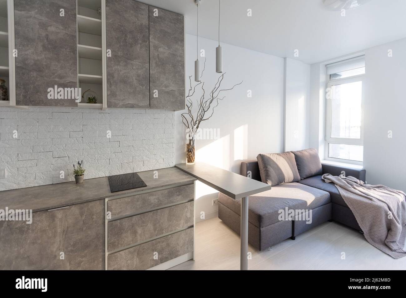 Modern minimalistic dark gray loft style studio apartment interior ...