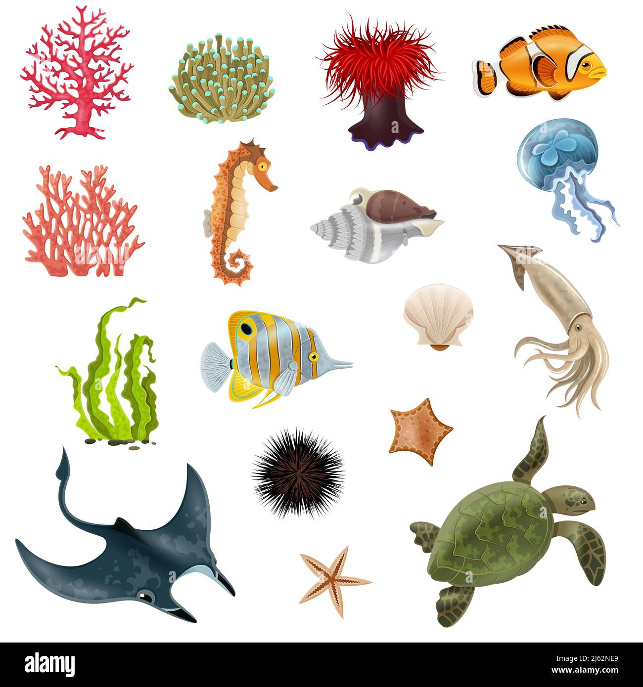 Set of sea life cartoon icons with fish coral seaweed shell ...