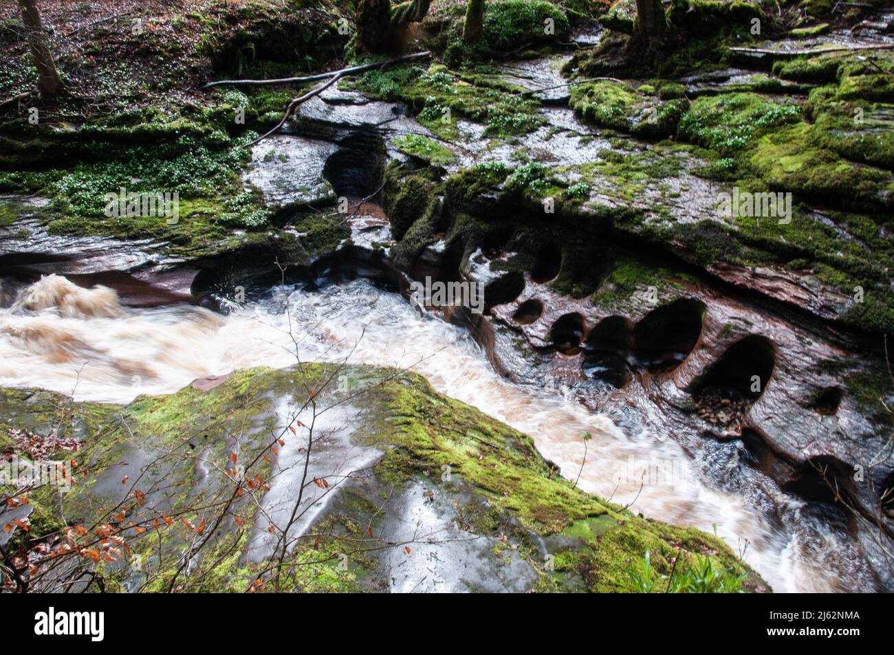 Around the UK - River Gelt, Gelt Woods, Cumbria Stock Photo - Alamy