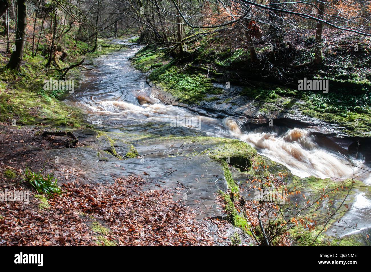 Around the UK - River Gelt, Gelt Woods, Cumbria Stock Photo - Alamy