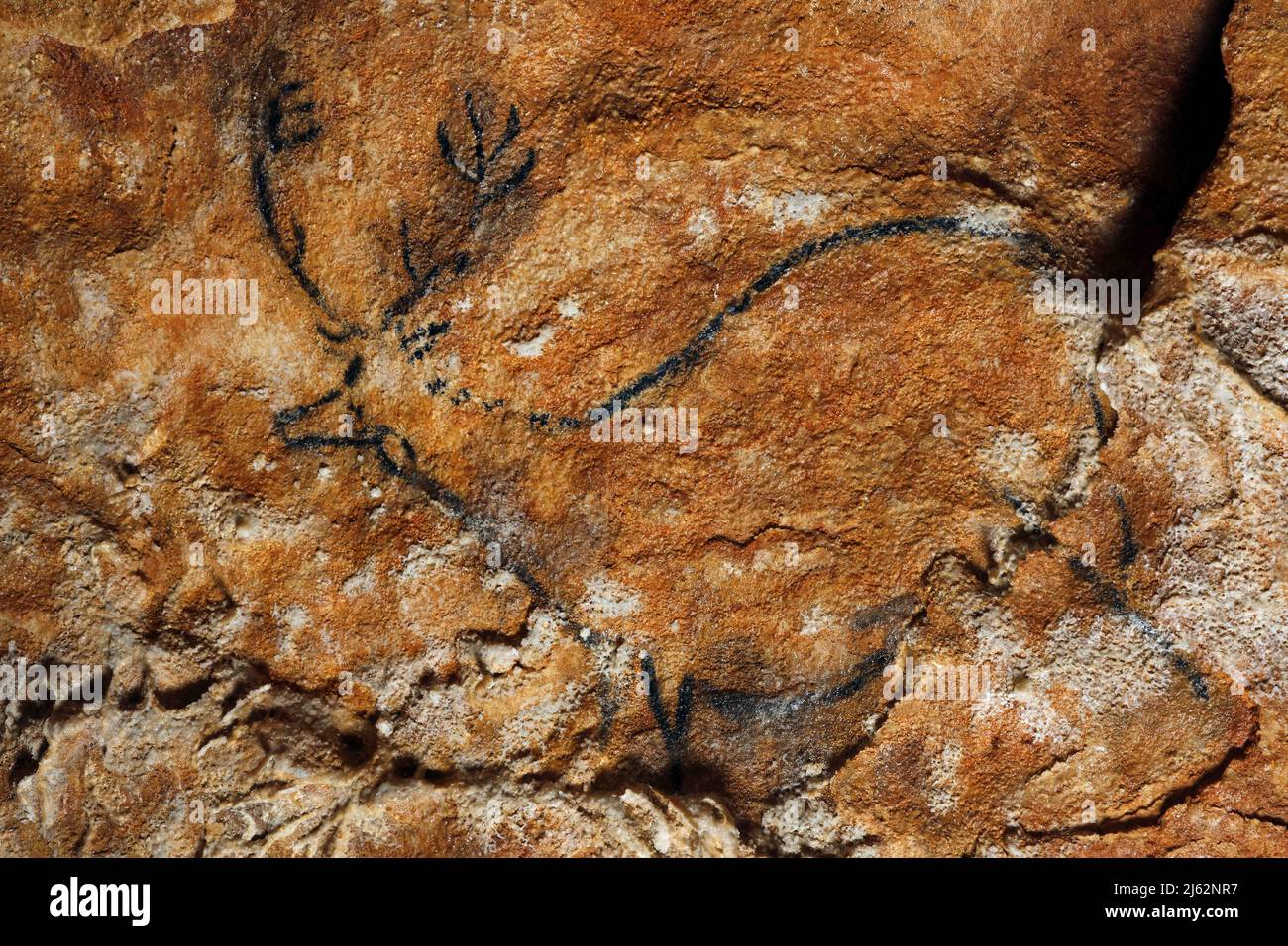 The Cosquer cave is an archeological treasure submerged in the creek of ...