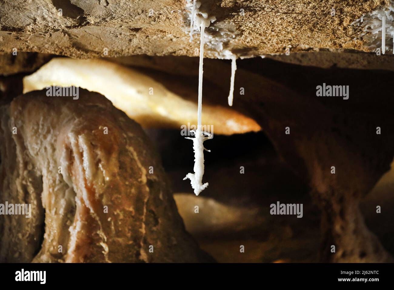 The Cosquer cave is an archeological treasure submerged in the creek of ...