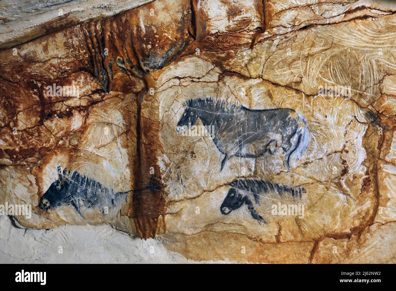 The Cosquer cave is an archeological treasure submerged in the creek of ...