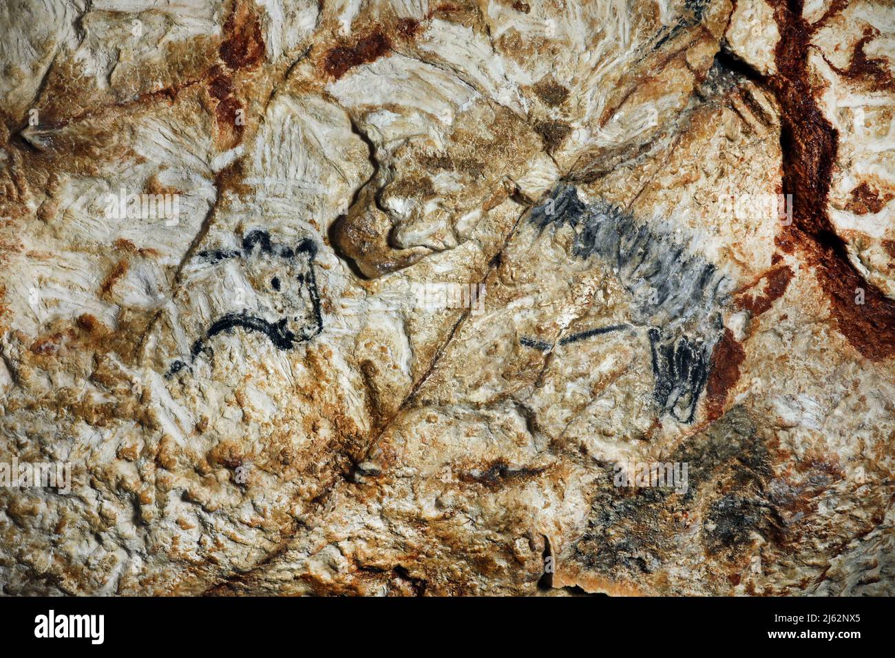 The Cosquer cave is an archeological treasure submerged in the creek of ...