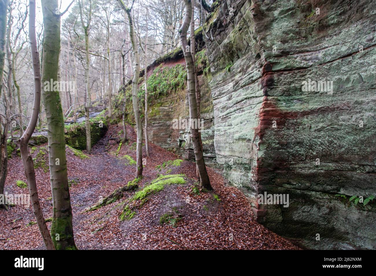 Around the UK - Stone Quarry, Gelt Woods, Cumbria Stock Photo - Alamy