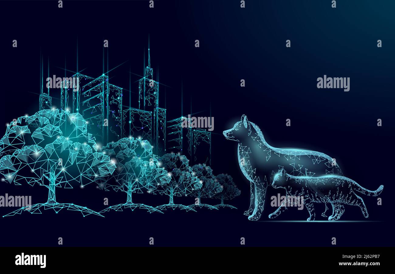 Homeless street animals in the city. Urban stray cat street dogs. Adopt ...