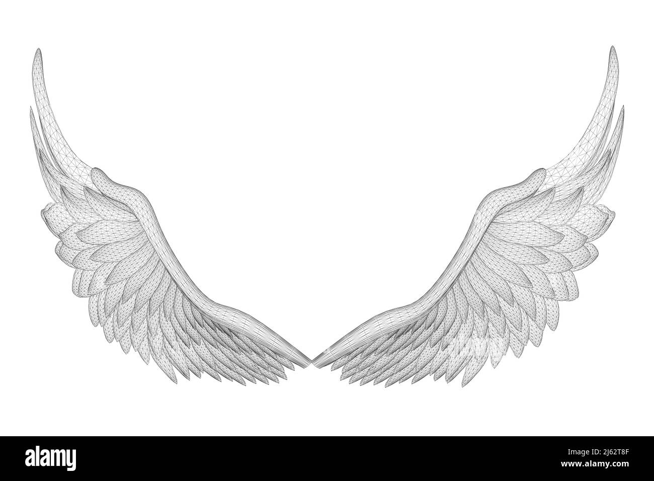 Wireframe of unfolded angel wings from black lines isolated on white ...