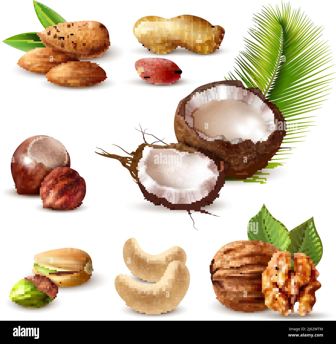Nuts realistic set with hazelnut, peanut, cashew, walnut, pistachio ...