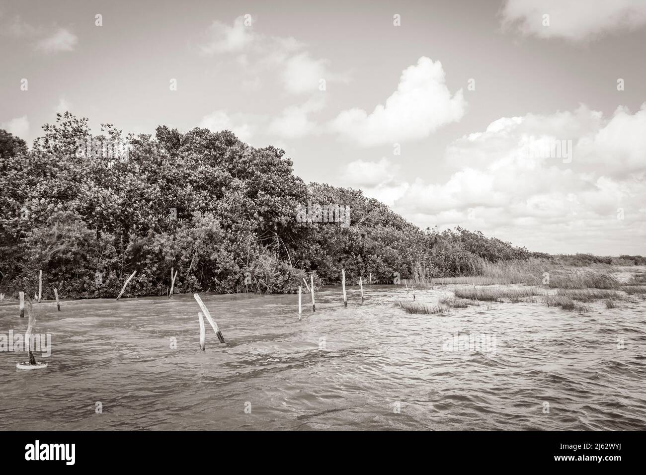 Old black and white picture of the natural panorama view to the Muyil ...