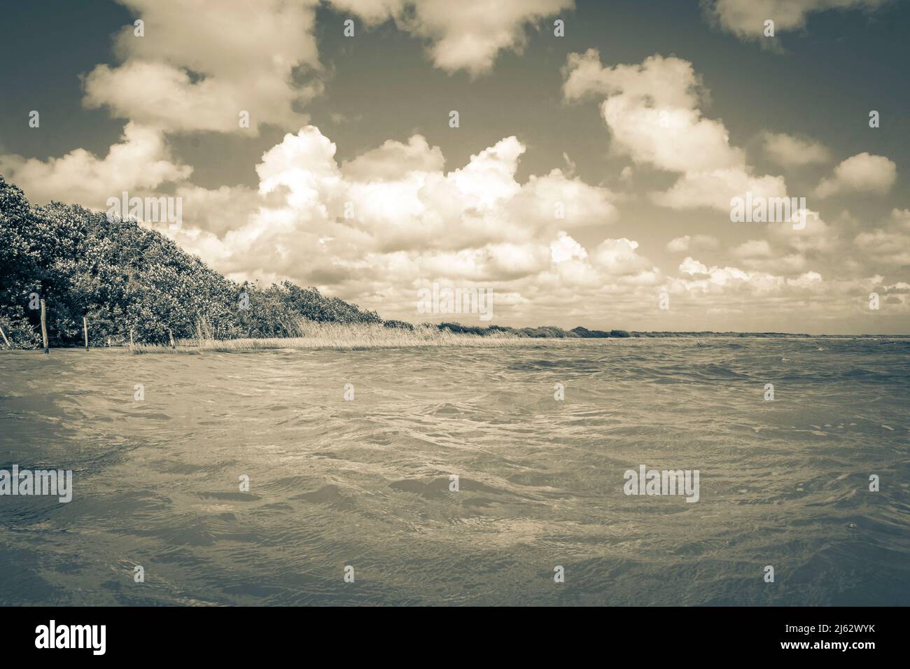 Old black and white picture of the natural panorama view to the Muyil ...