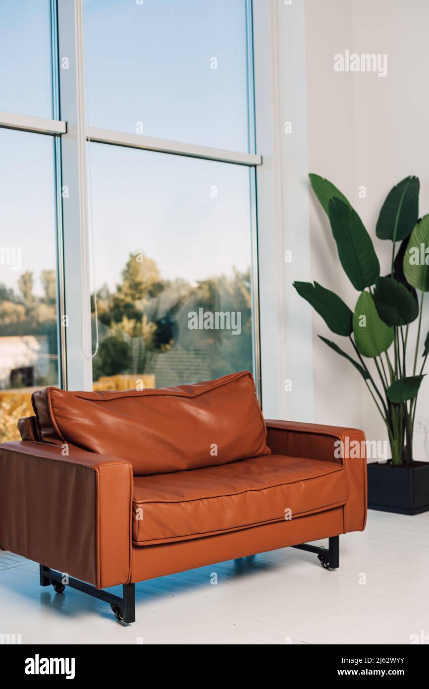 Sofa houseplant near window hi-res stock photography and images - Alamy