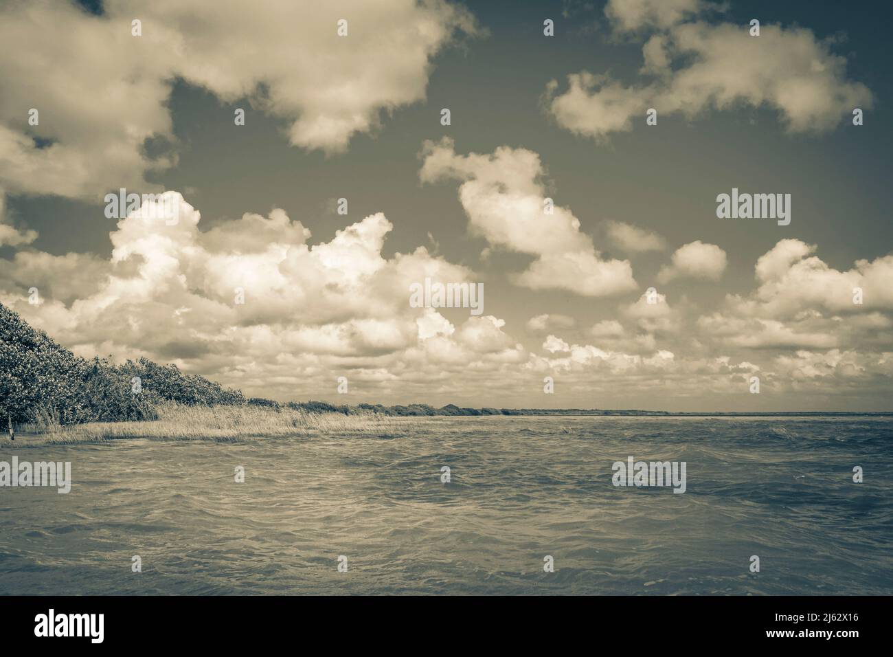 Old black and white picture of the natural panorama view to the Muyil ...