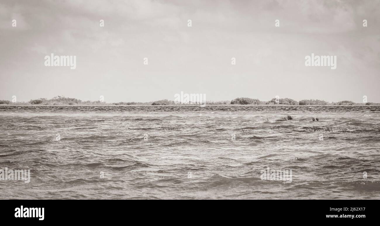 Old black and white picture of the natural panorama view to the Muyil ...
