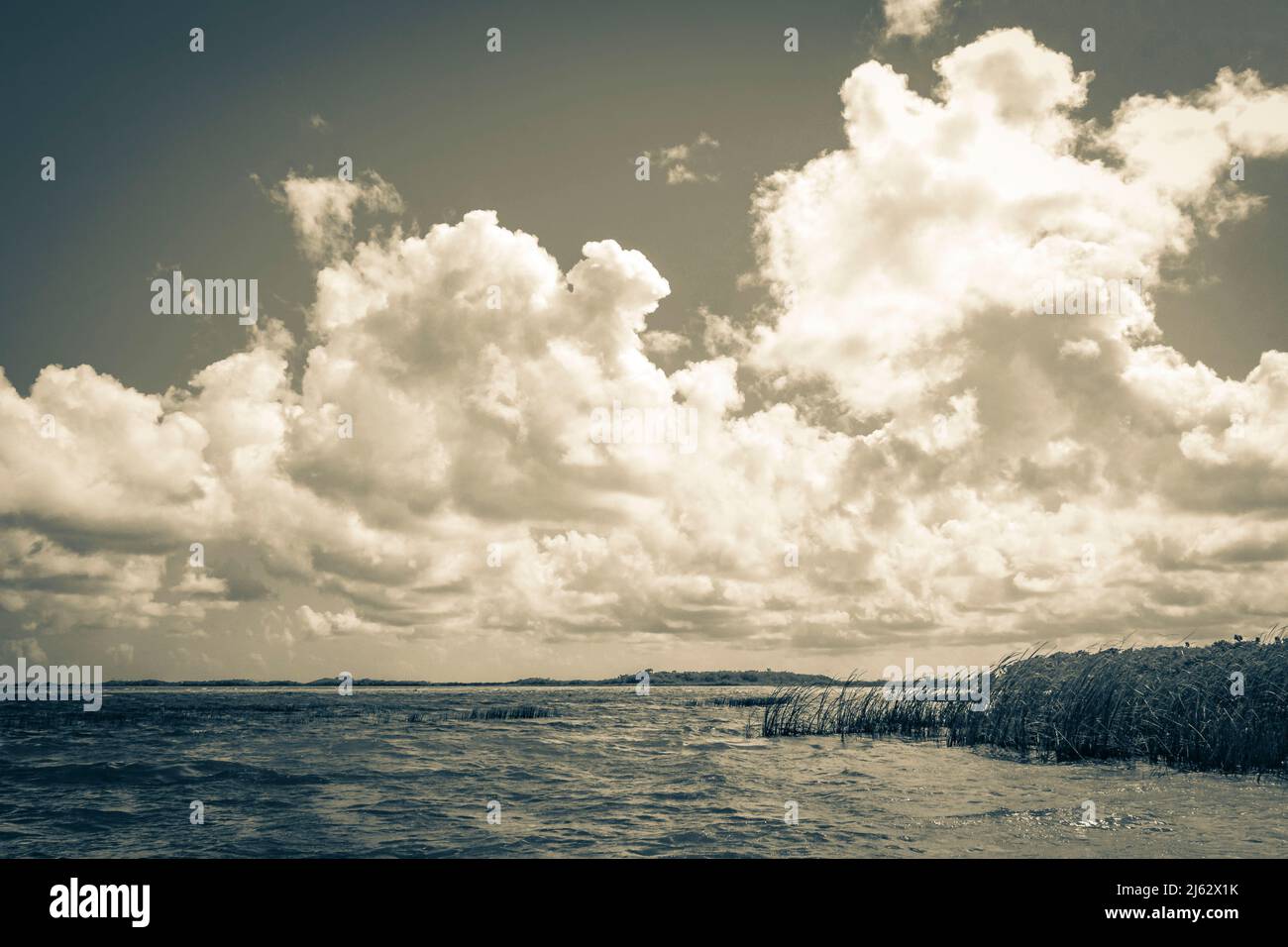 Old black and white picture of the natural panorama view to the Muyil ...
