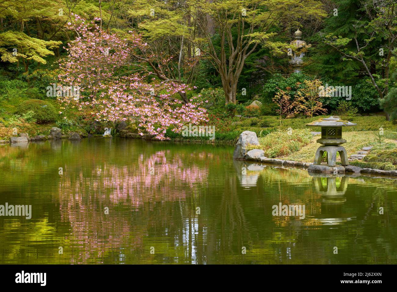 University of BC Nitobe Gardens. Ponds and greenery in the Nitobe ...