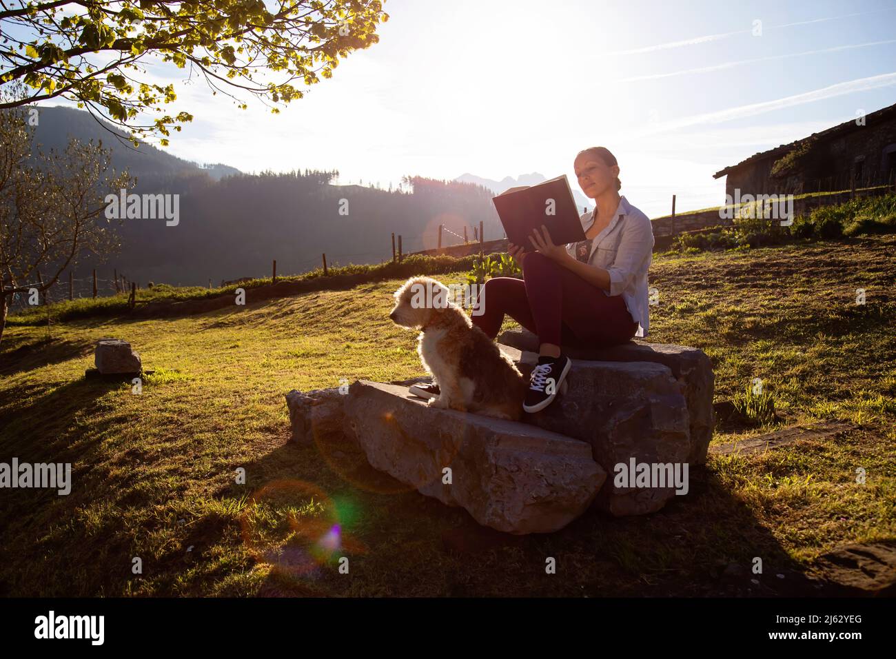 girl reading a book on a vacation day in a rural area. sunset with a ...