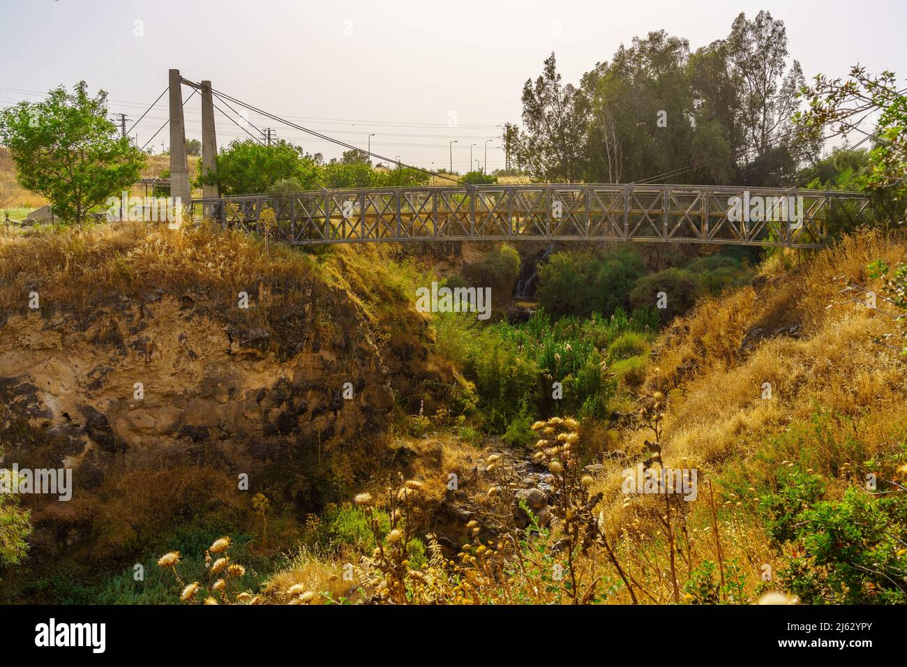 View of the Basalt canyon and the Harod Stream, with Eucalyptus trees ...