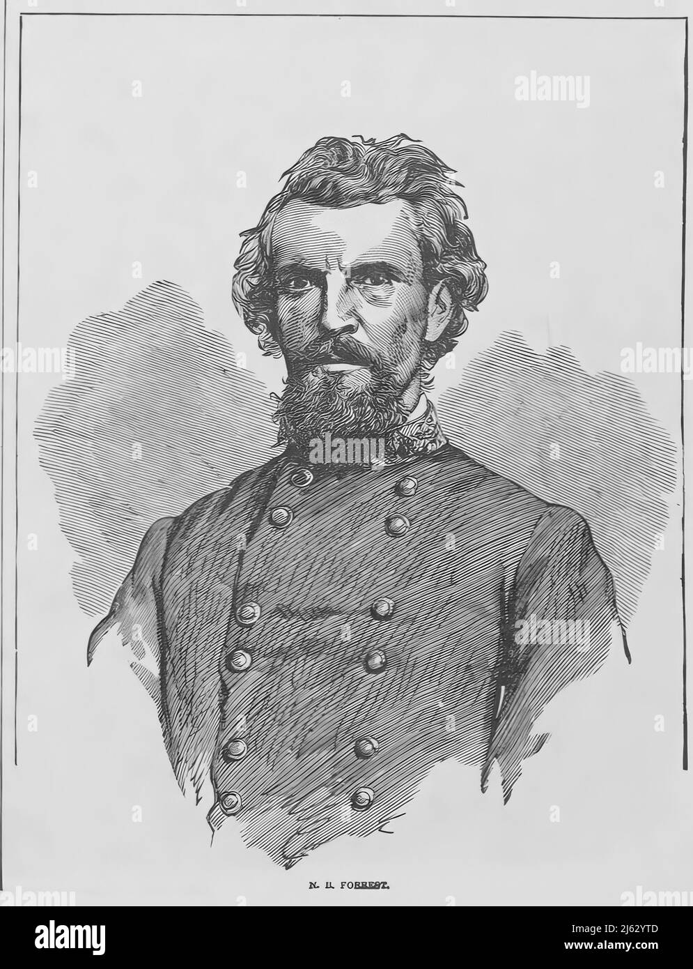 Into the forrest Black and White Stock Photos & Images - Alamy