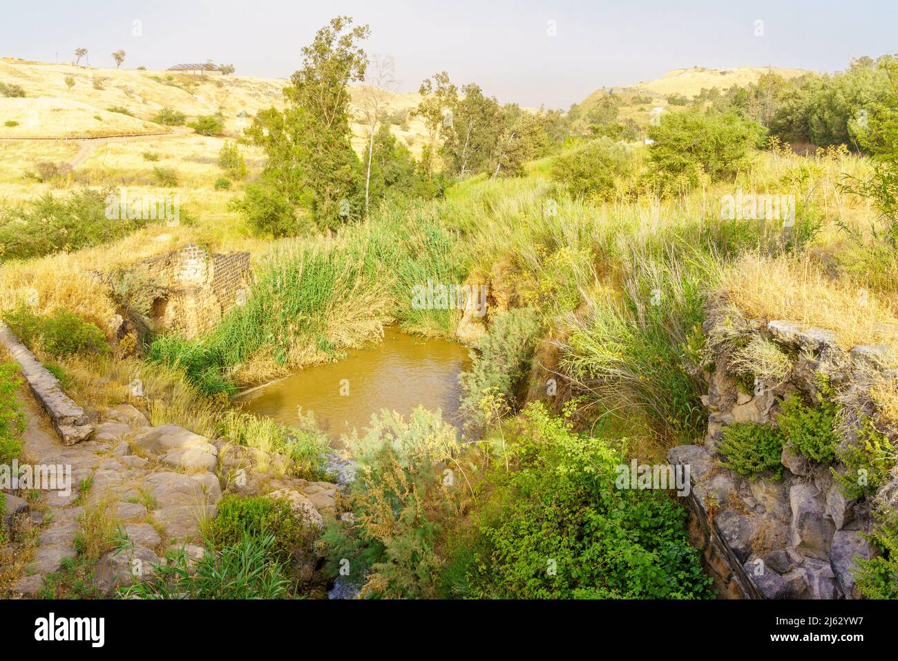 View of the Bet Shean Park, with Roman Antiquities, the Harod Stream ...