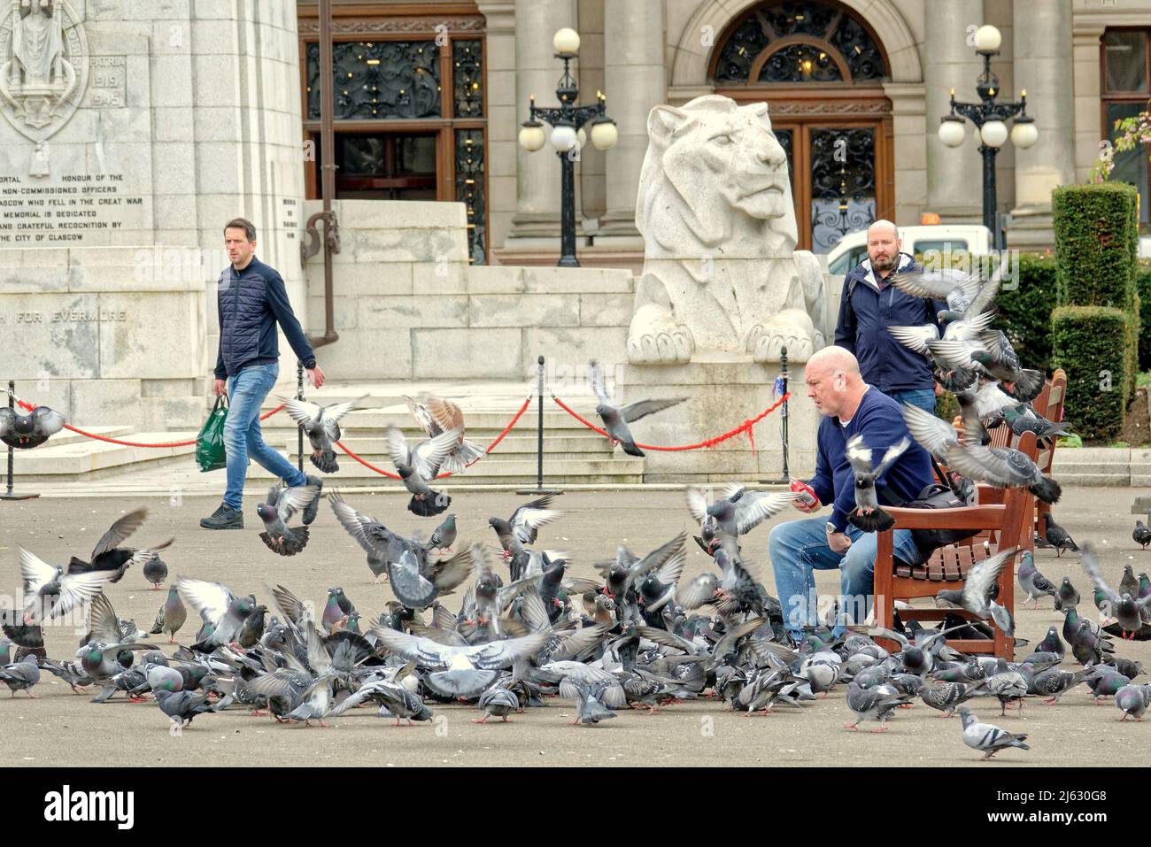 Glasgow, Scotland, UK 27th April, 2022. Pigeon infestation continues to ...