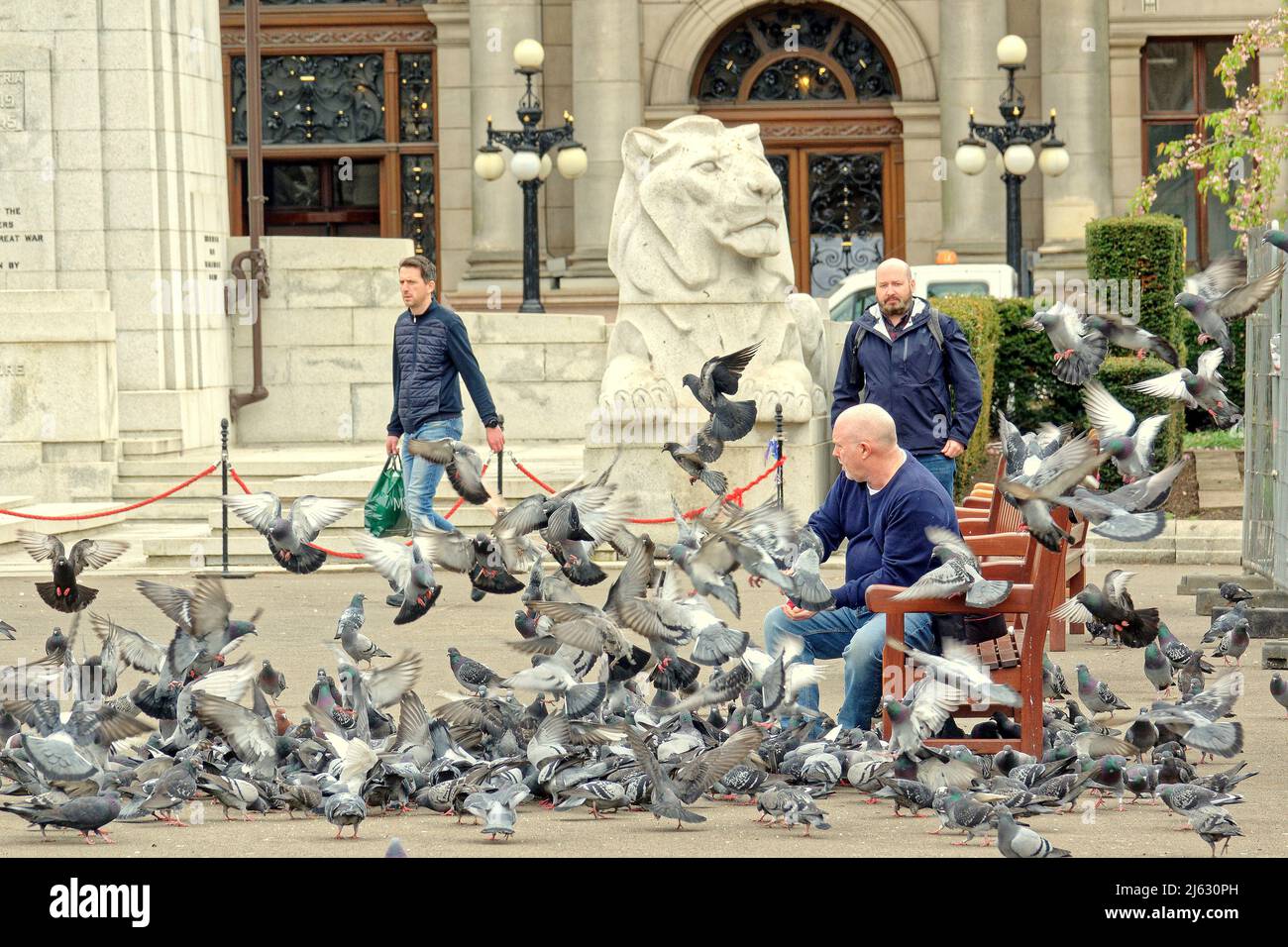 Glasgow, Scotland, UK 27th April, 2022. Pigeon infestation continues to ...