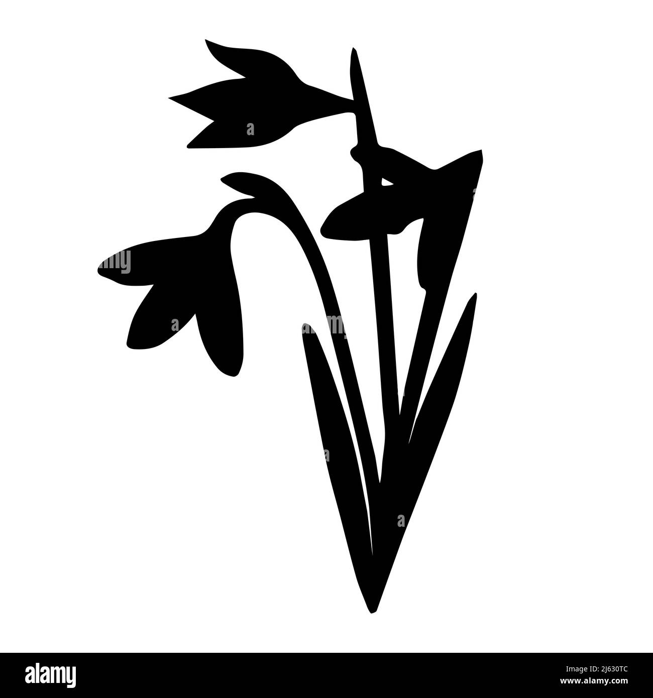 Vector hand drawn snowdrops flower silhouette isolated on white ...
