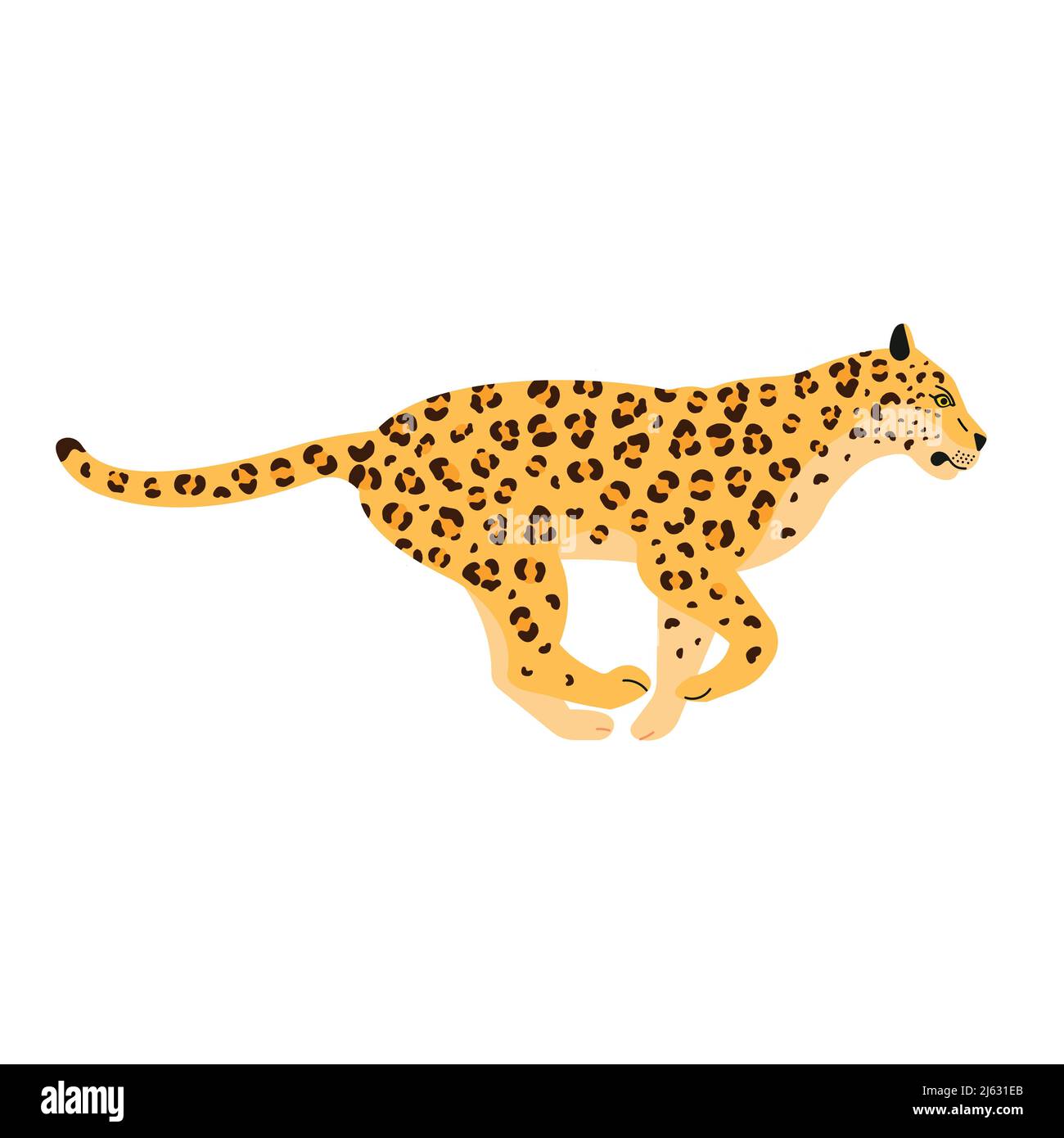 Leopard running Cut Out Stock Images & Pictures - Alamy