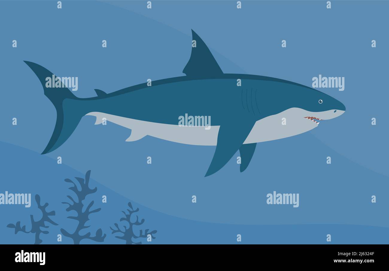 Prehistoric underwater shark megalodon with fins. Predatory sea fish ...