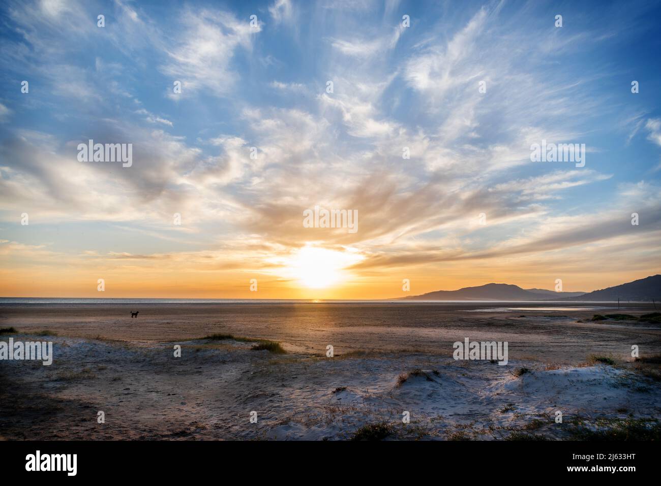 Beach dunes sand tarifa hi-res stock photography and images - Alamy