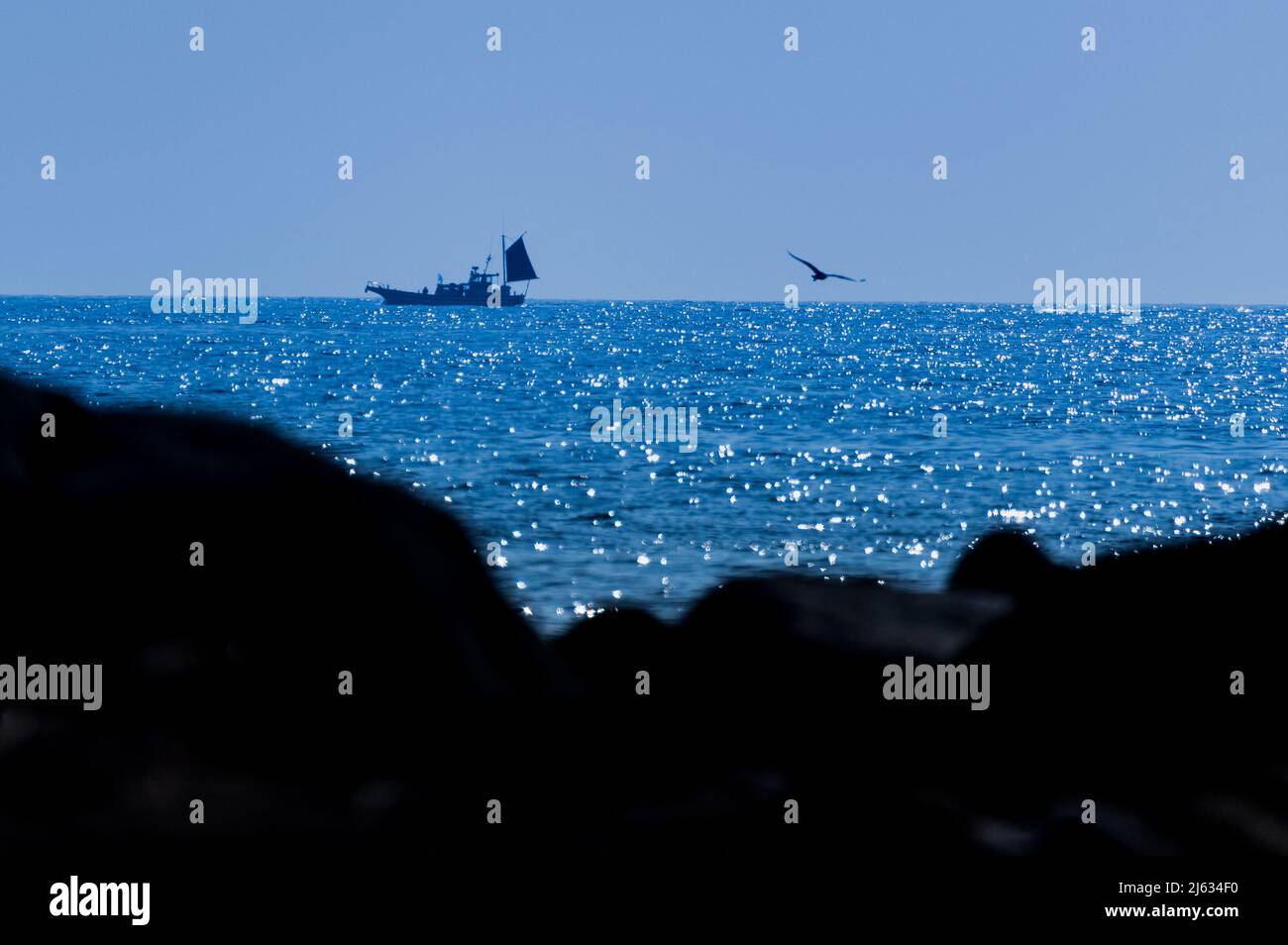 A variety of fishing boats can be seen from the coast of Cape Manazuru ...