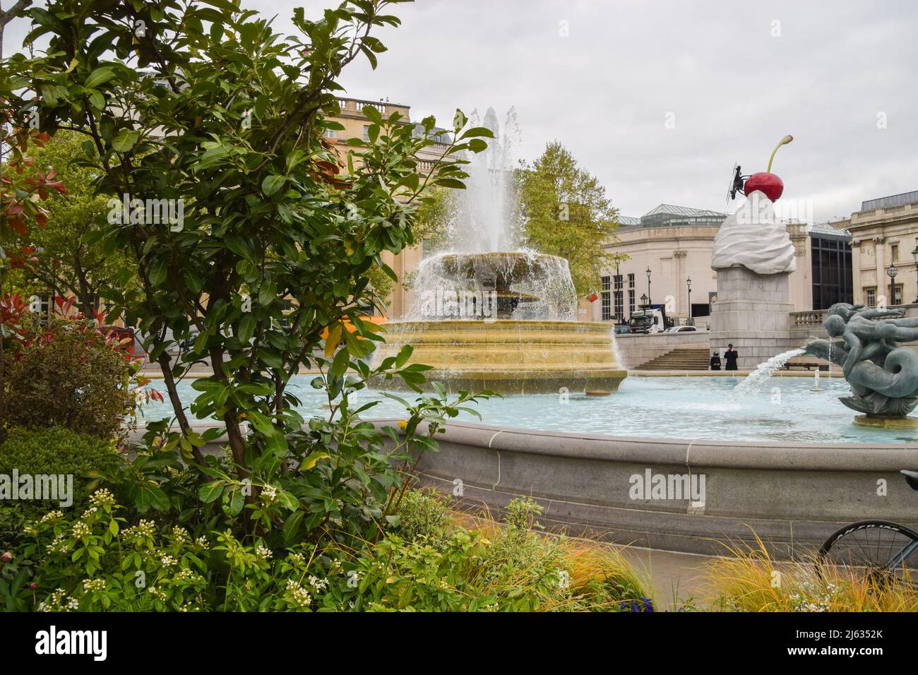 Big rewild hi-res stock photography and images - Alamy