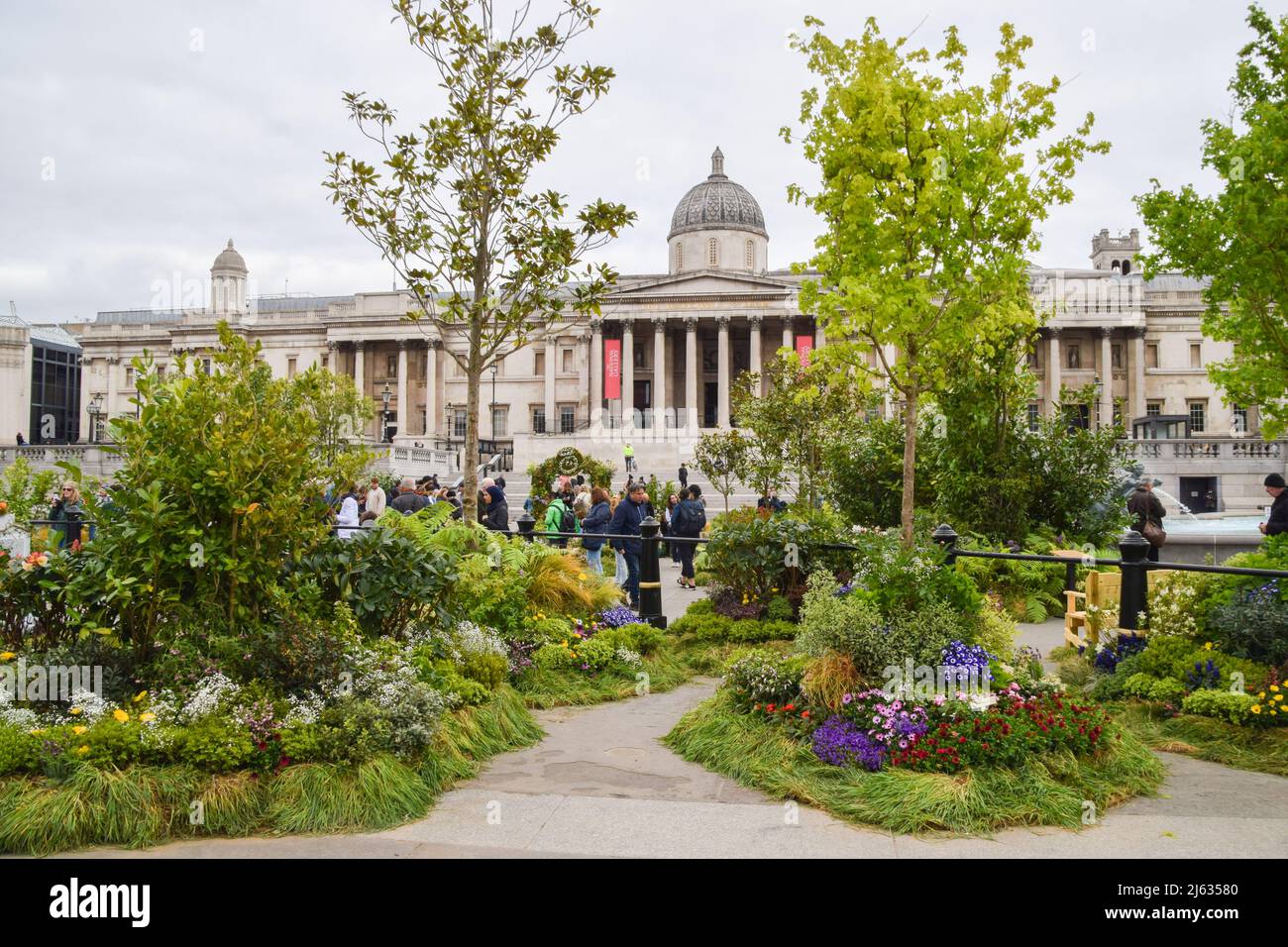 Rewilding campaign hi-res stock photography and images - Alamy