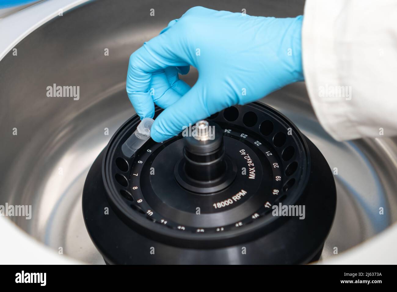 Scientist puts microcentrifuge tubes into centrifuge for phase ...