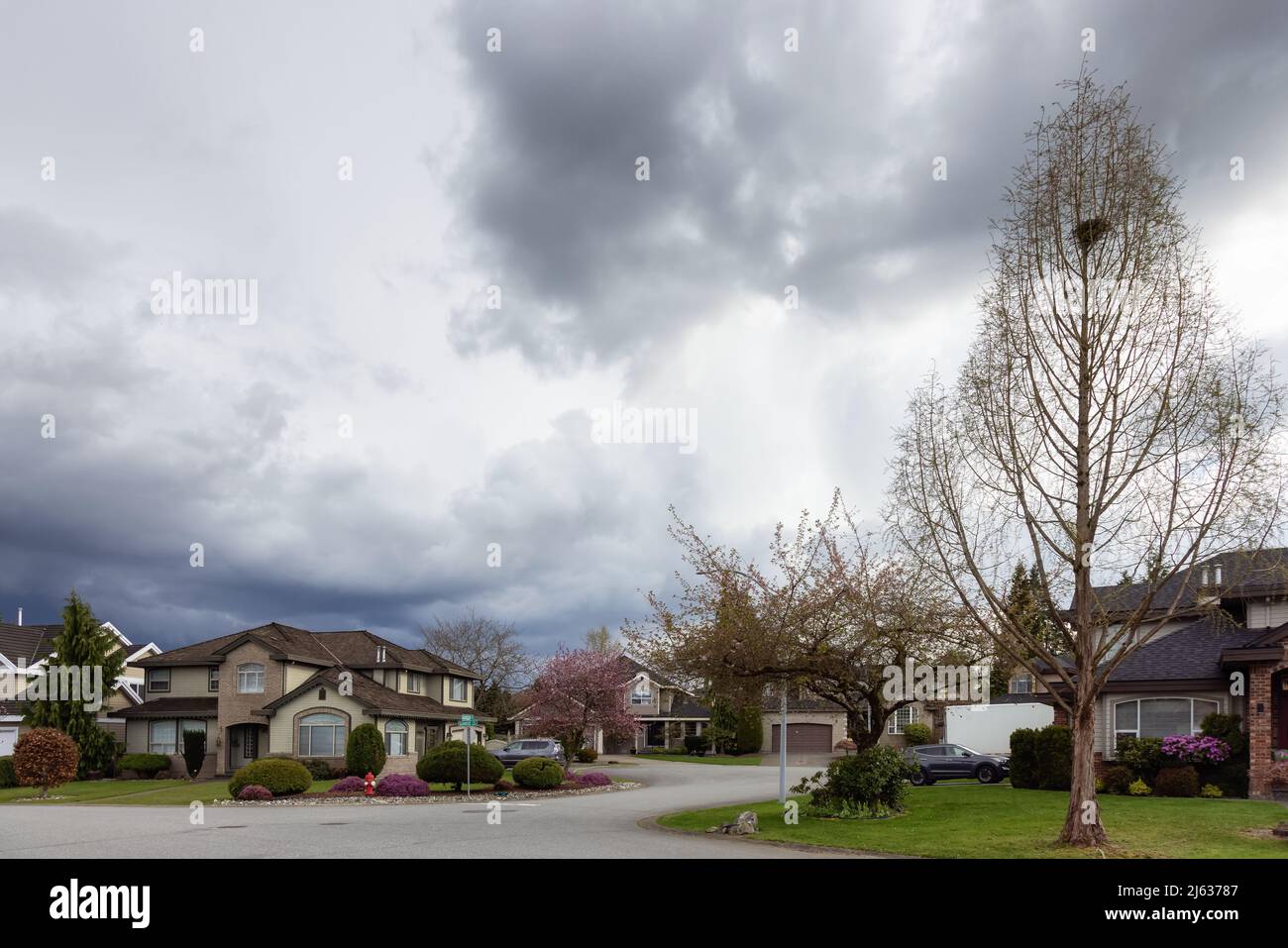 Residential neighborhood Street in Modern City Suburbs Stock Photo - Alamy