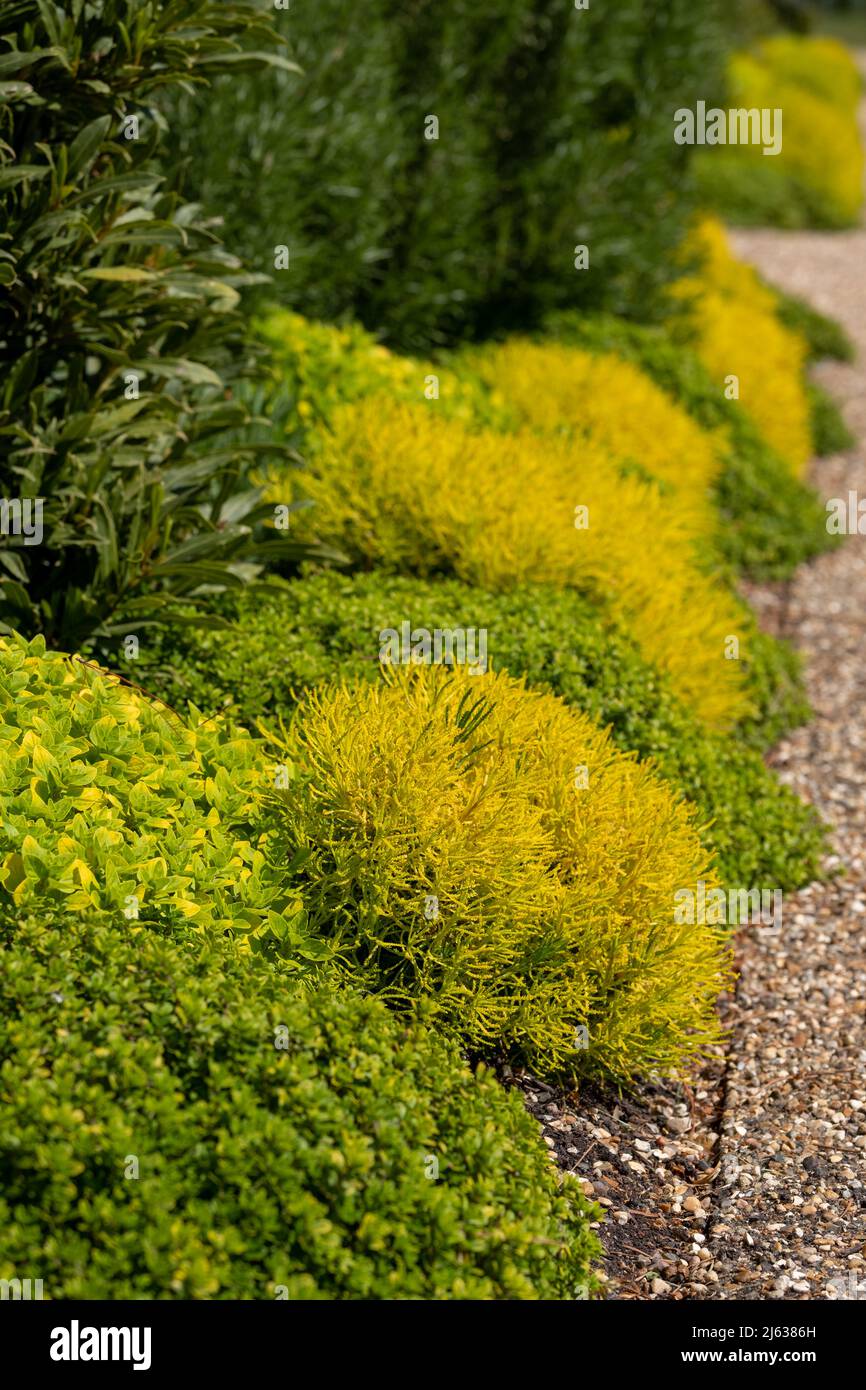 Clumpy Plants High Resolution Stock Photography and Images - Alamy