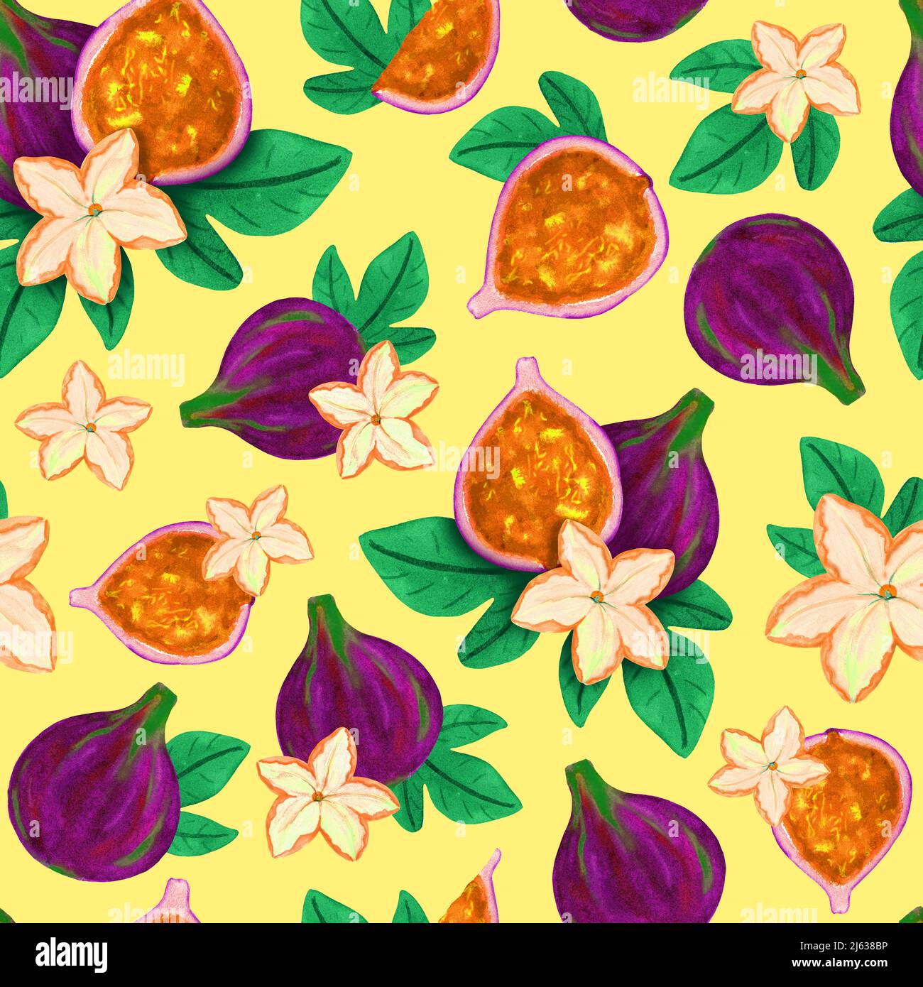 Orange fig fruit seamless pattern. Hand drawn watercolor illustration ...