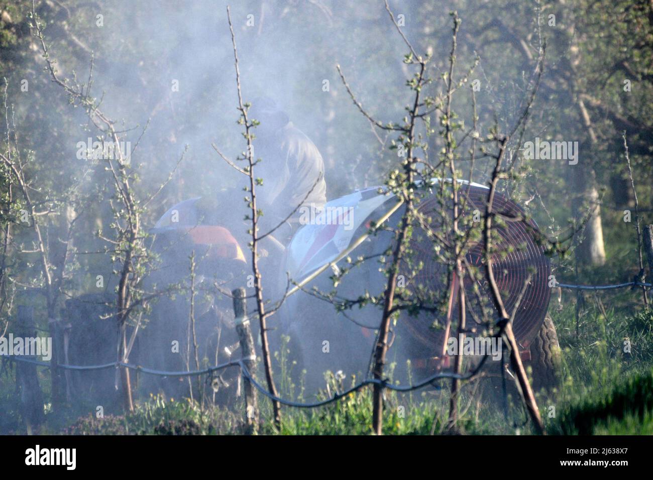 Before noon or the orchard hi-res stock photography and images - Alamy