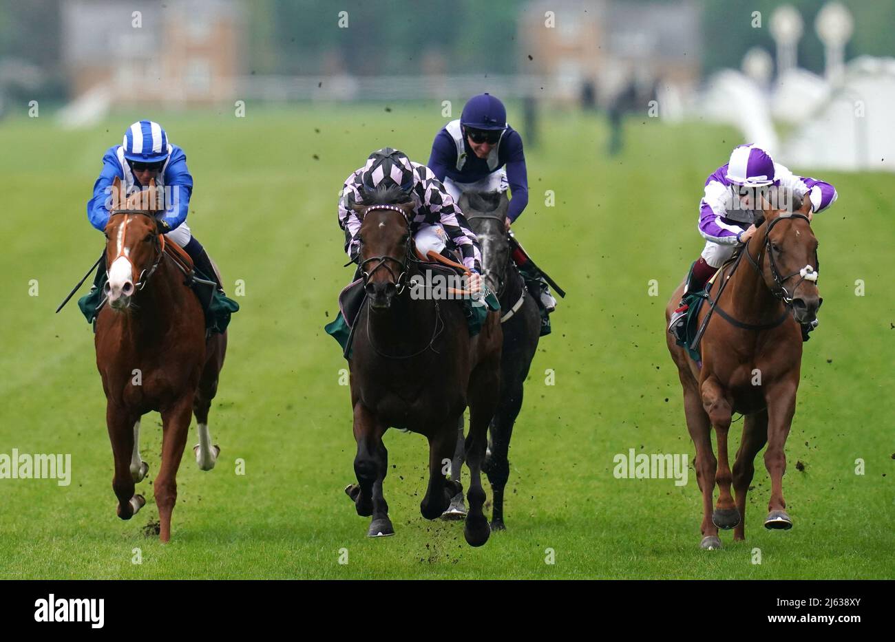 Go bears go ascot 2022 hi-res stock photography and images - Alamy