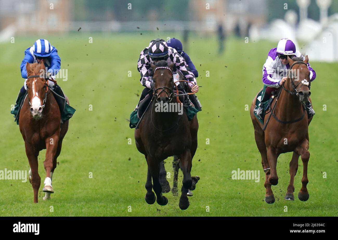 Go bears go ascot 2022 hi-res stock photography and images - Alamy