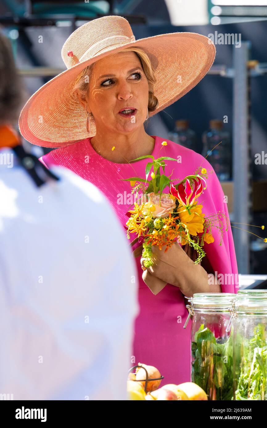 Queen Maxima of the Netherlands celebrating the King's 55th birthday ...